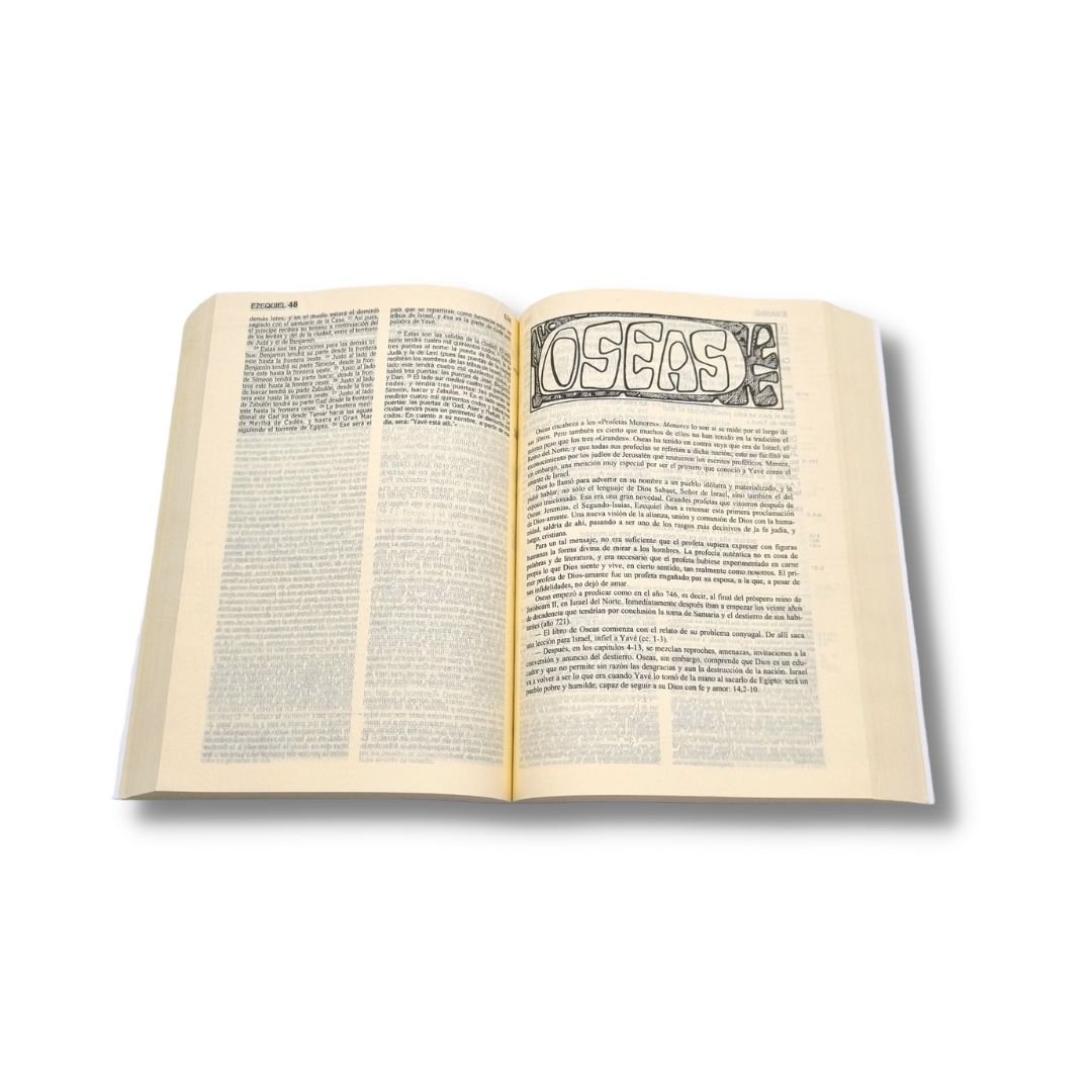 La Biblia Latinoamericana letra Normal La Biblia Latinoamericana letra Normal